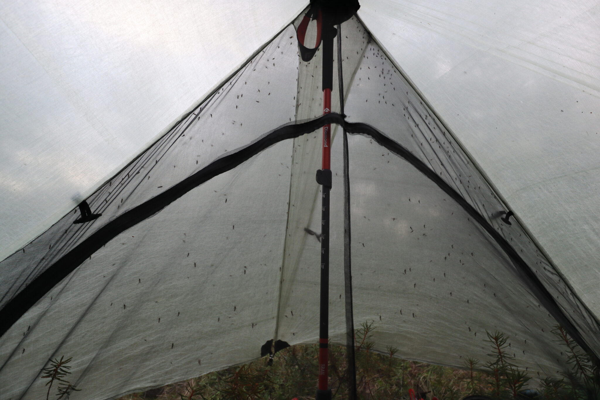 Anabar Plateau 2022 Summer Solo